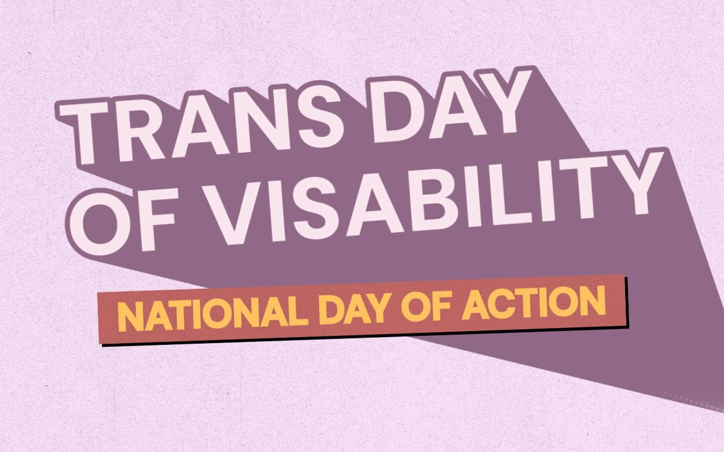 Open Organising Meeting: Trans Day of Visibility National Day of Action