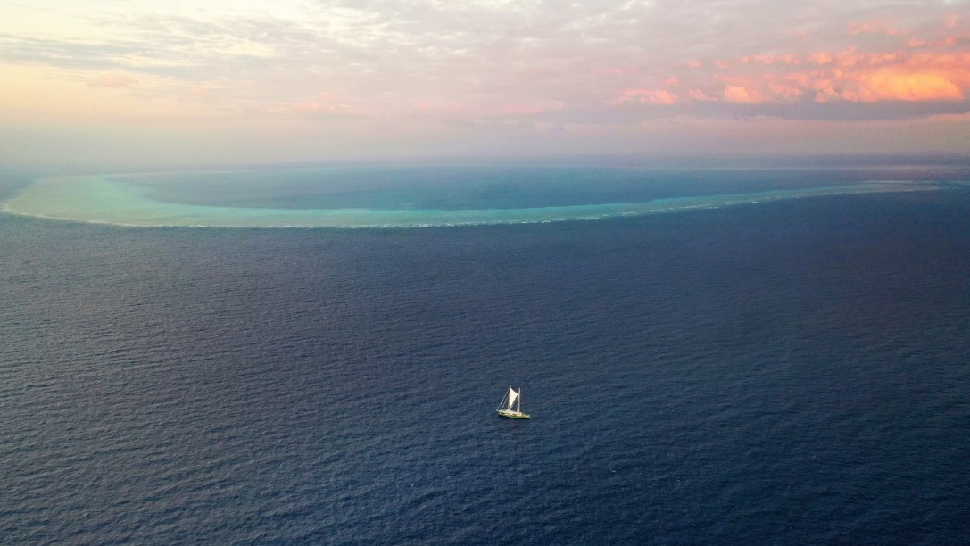 WA EPA tells Woodside its Browse Basin expansion is ‘unacceptable’