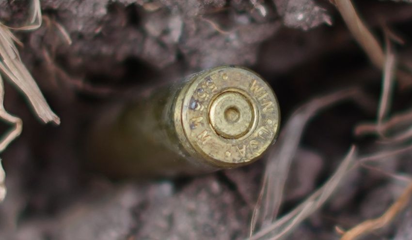 Mexico: Organised crime uses US bullets to dispossess indigenous ...